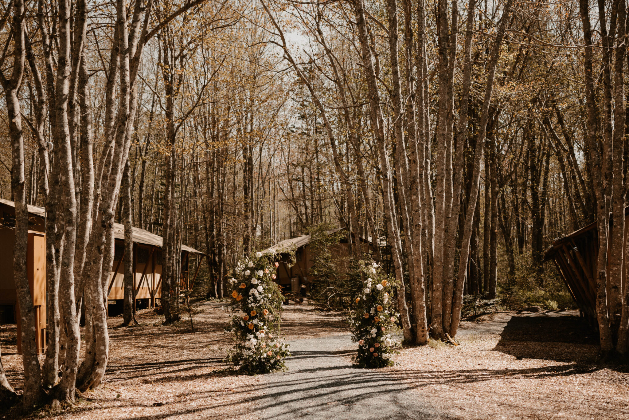 Acadia Elopement at Terramor Resort - emileemayphoto.com
